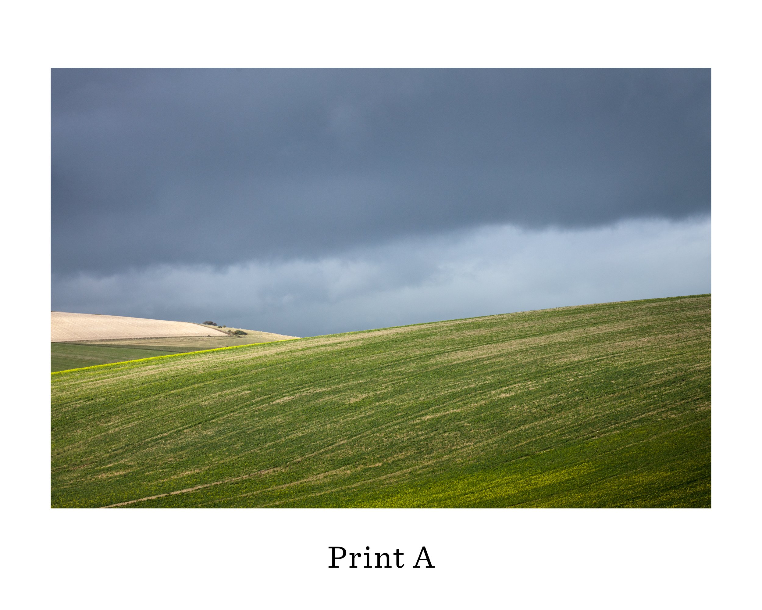 Fieldwork - By Finn Hopson — Brighton Photography