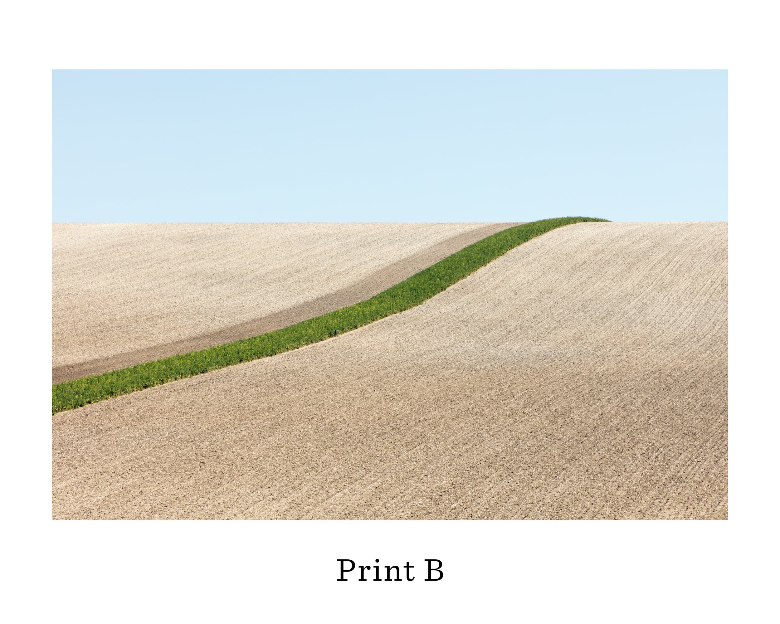 Fieldwork - By Finn Hopson — Brighton Photography