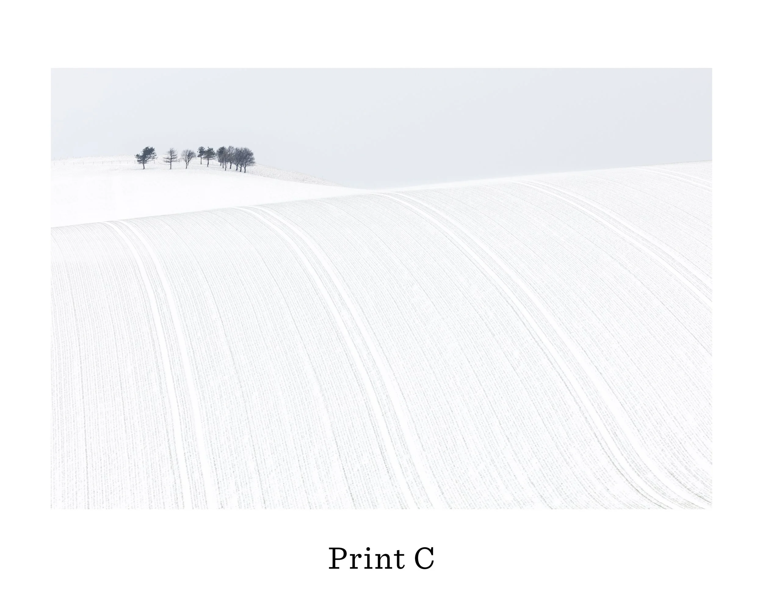 Fieldwork - By Finn Hopson — Brighton Photography