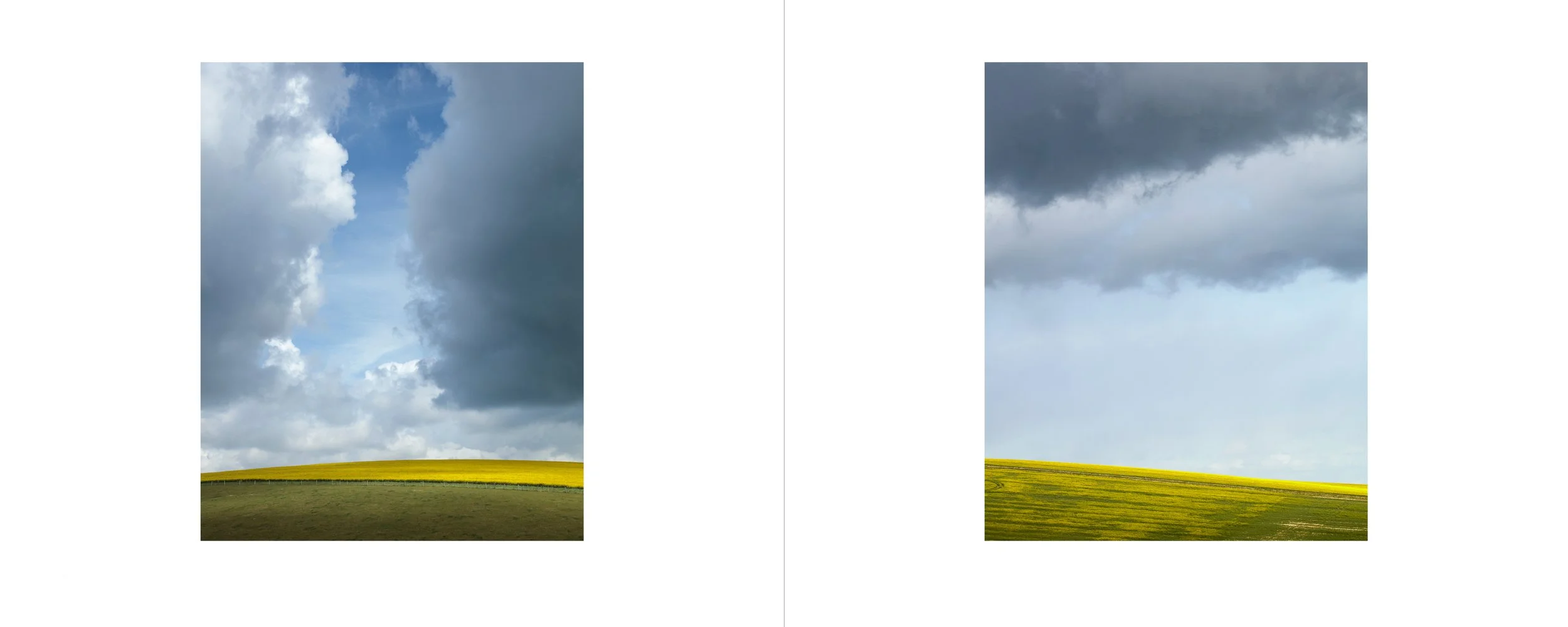 Fieldwork - By Finn Hopson — Brighton Photography