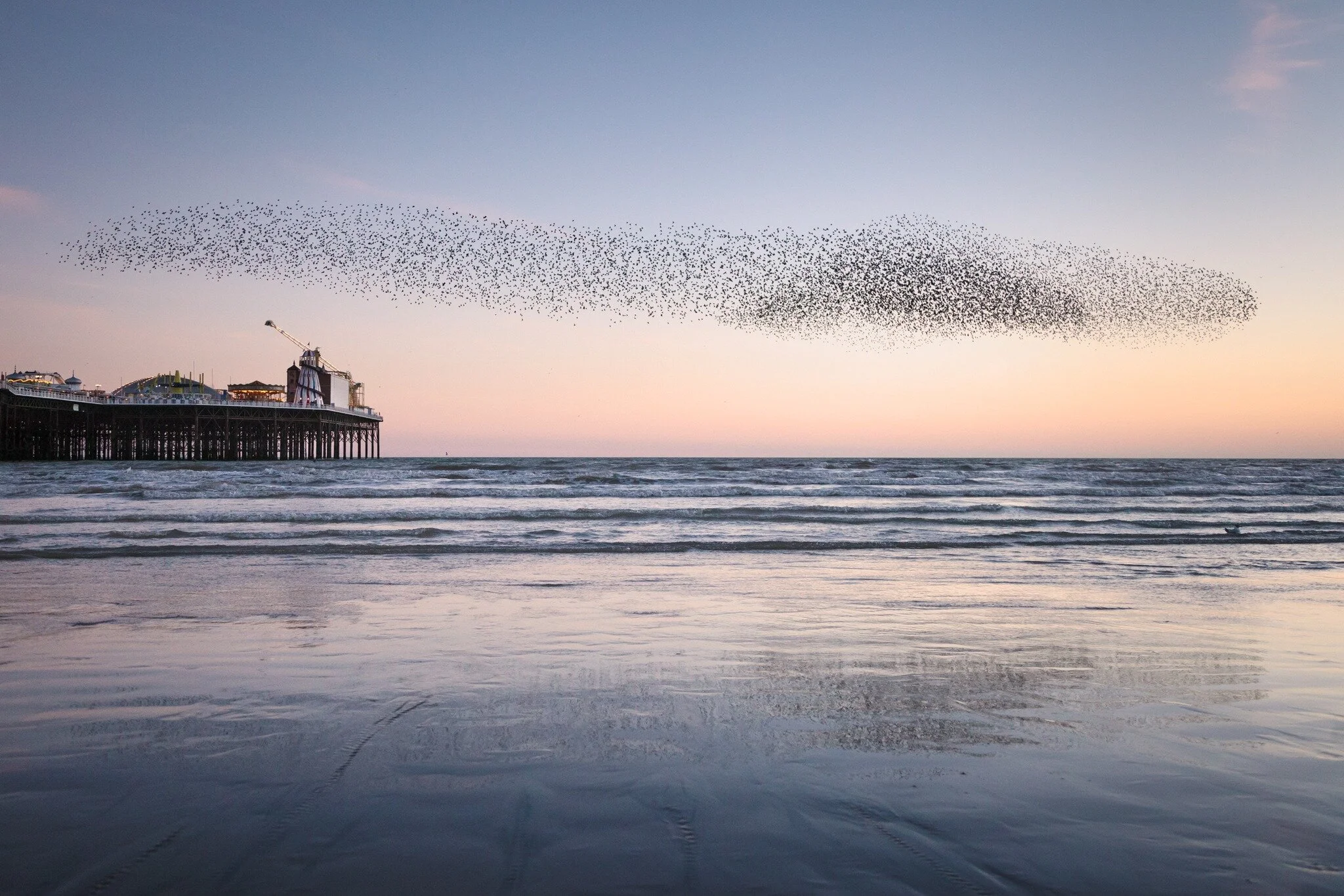 Brighton Photography Gallery