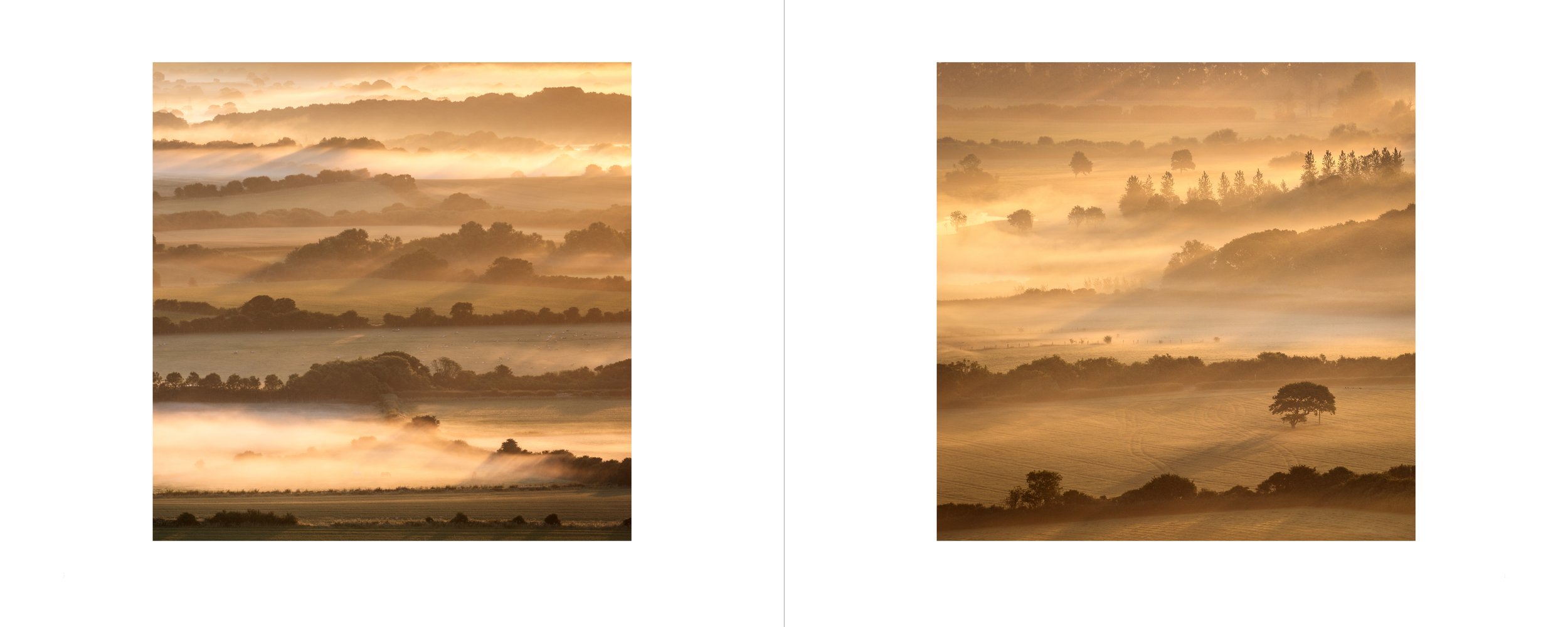 Fieldwork - By Finn Hopson — Brighton Photography