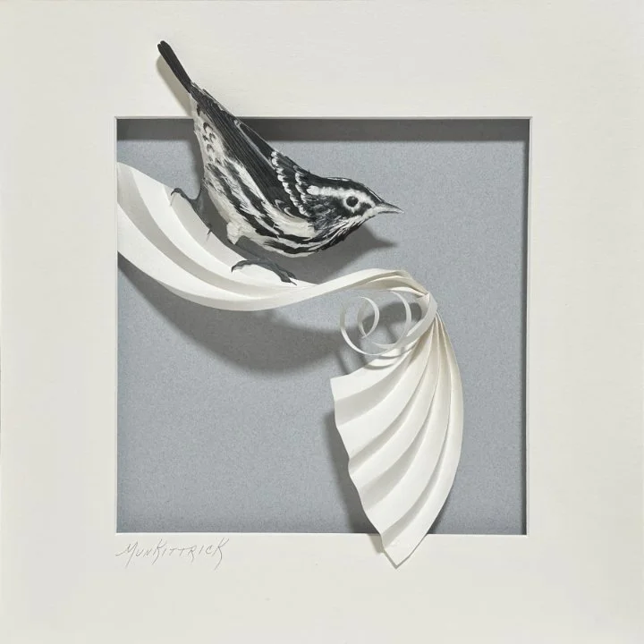 Paper Sculpture — Munkittrick Art