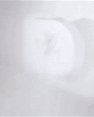 LIAM TRUMBLE - Creative Director & TikTok Strategist