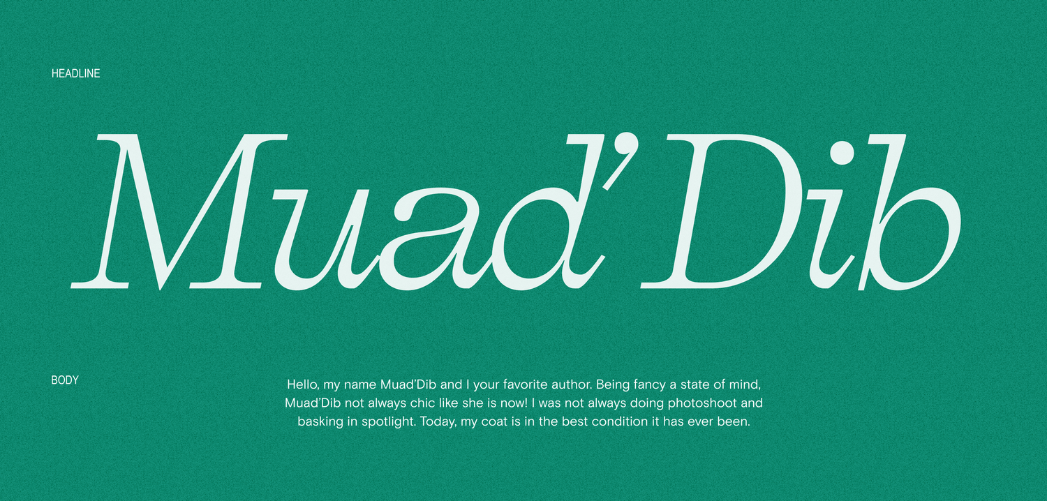 Elegant Serif Font Book — ilovecreatives
