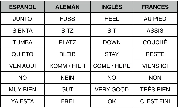 Pueden Los Perros Aprender Diferentes Idiomas