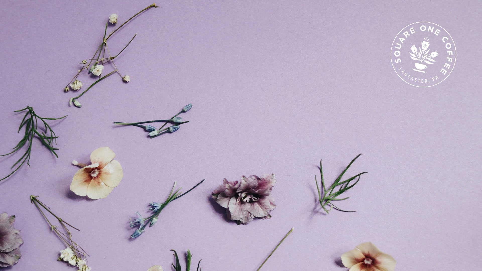 floral & delicate coffees