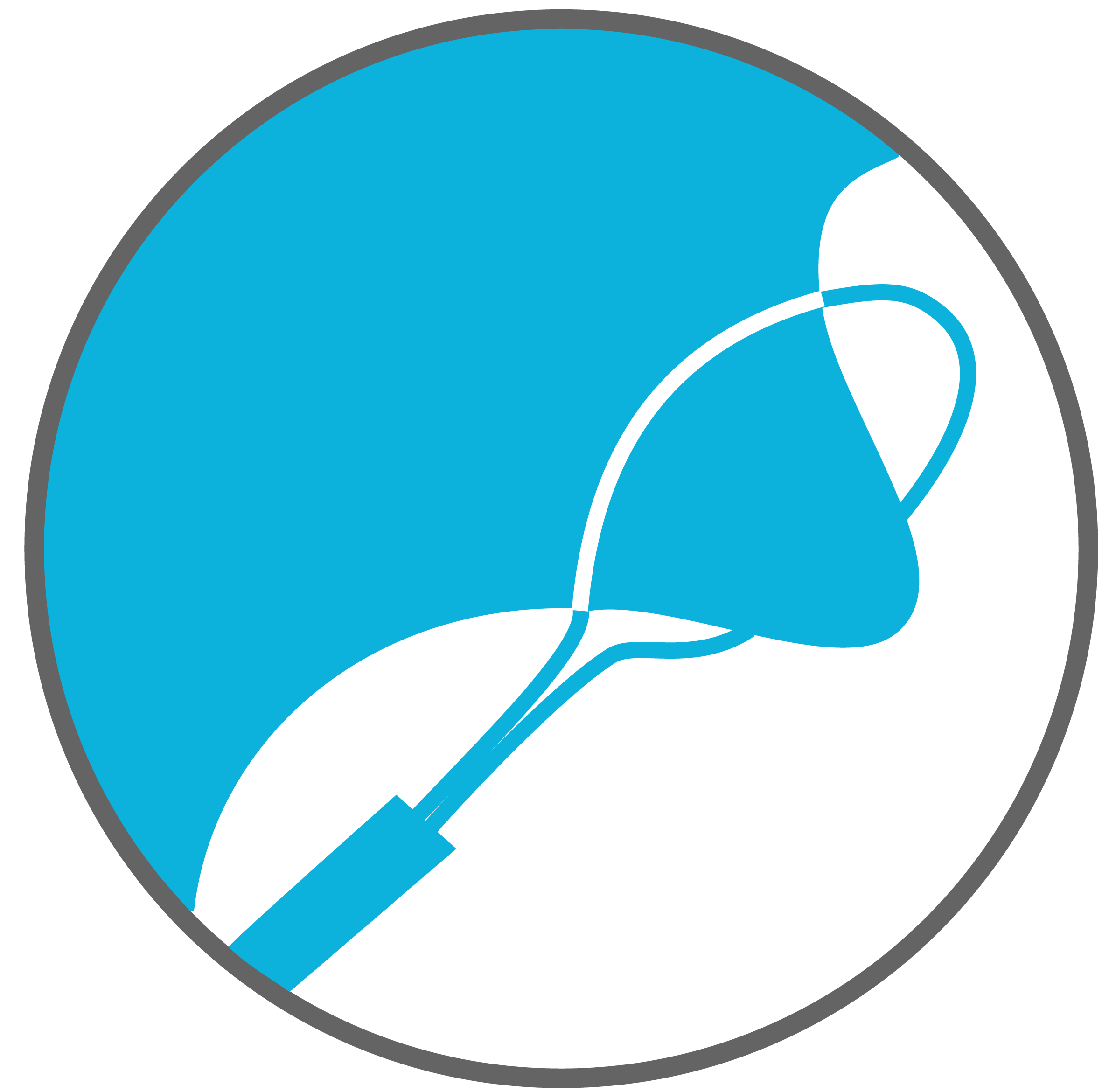 Arteria Appendicularis