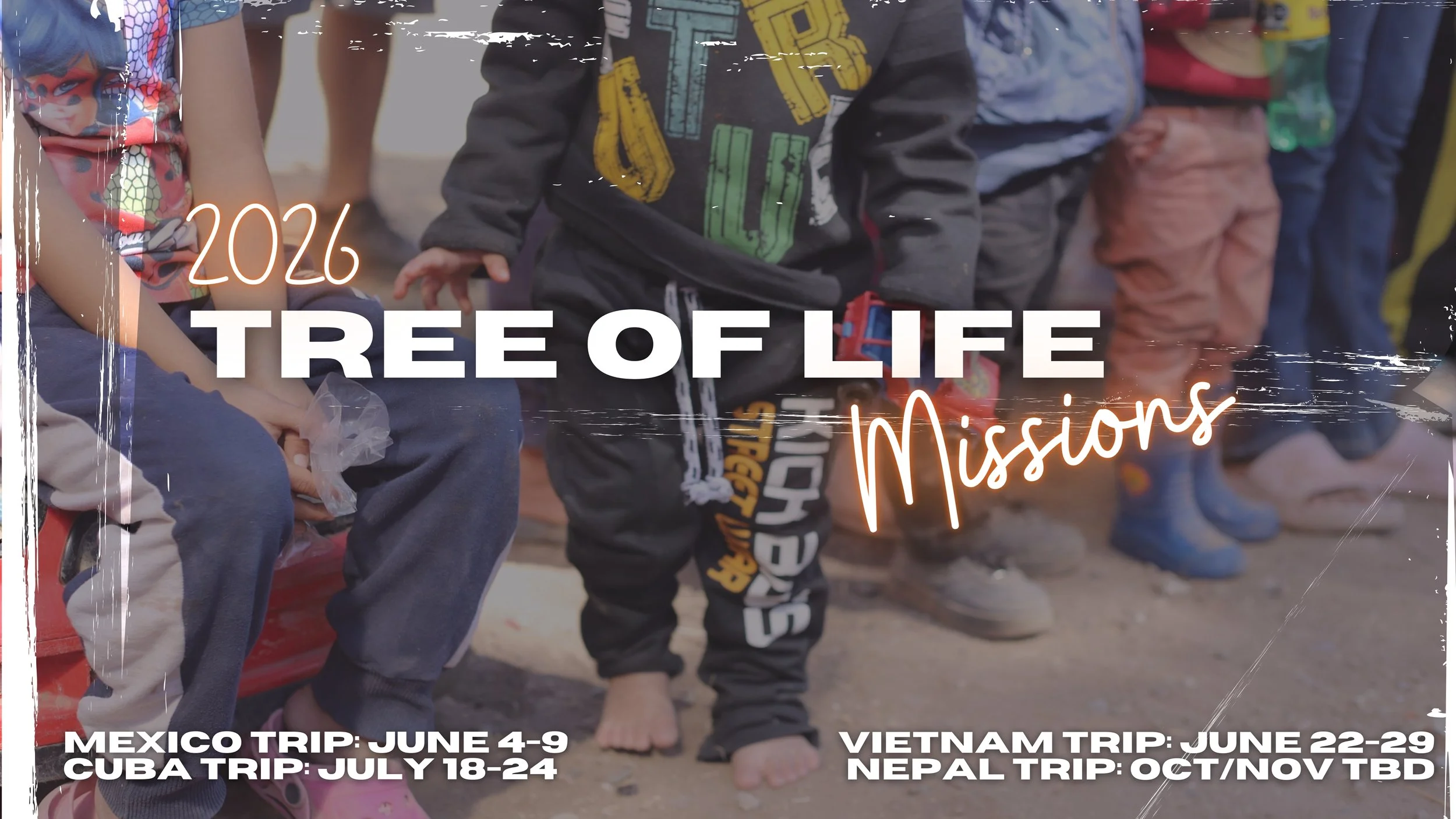 Tree of Life Church