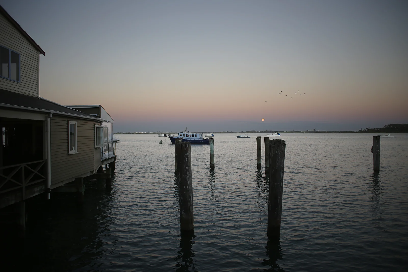 Harbourside | Waterfront dining - Tauranga