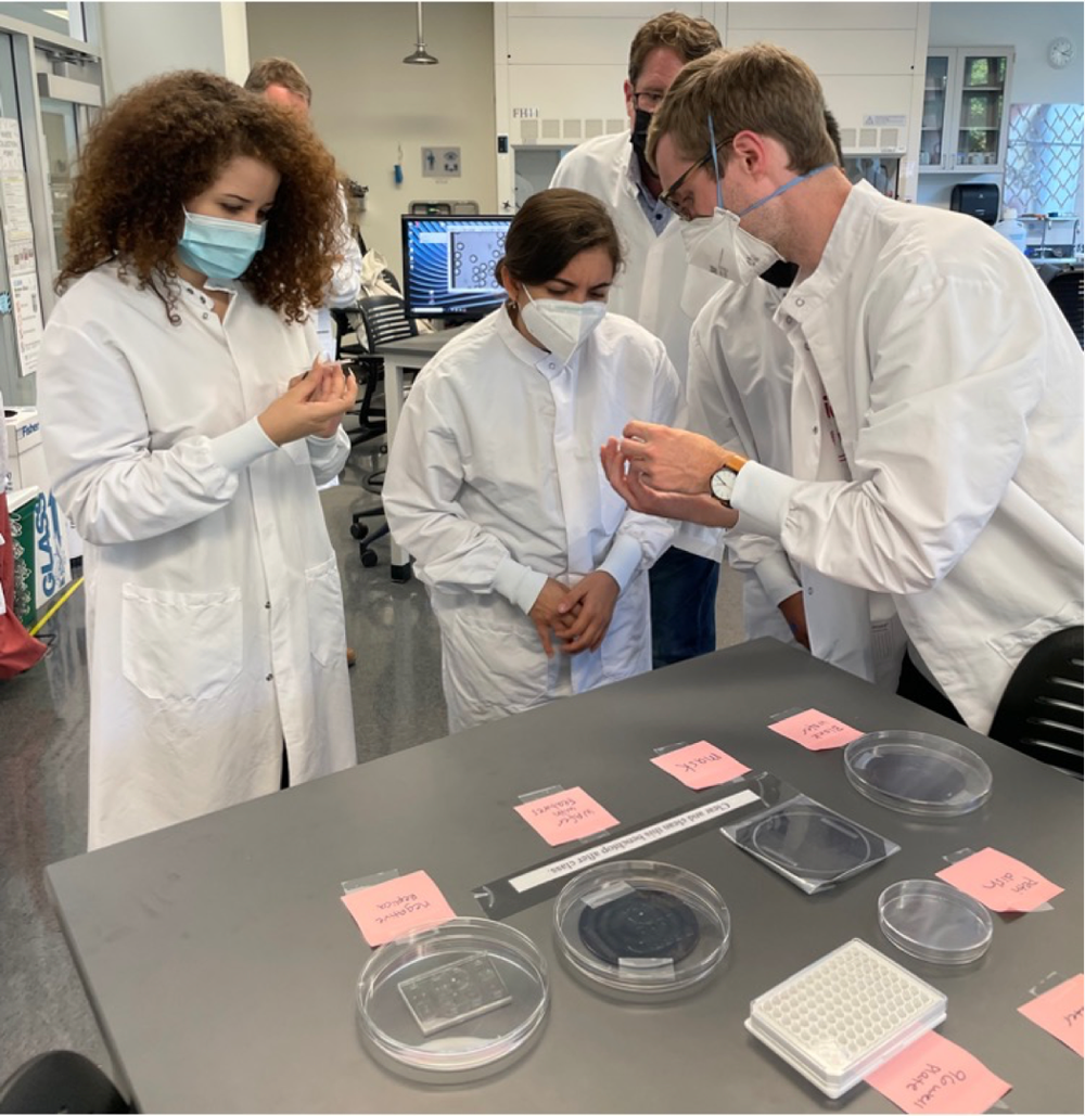 Foundry — The Fordyce Lab