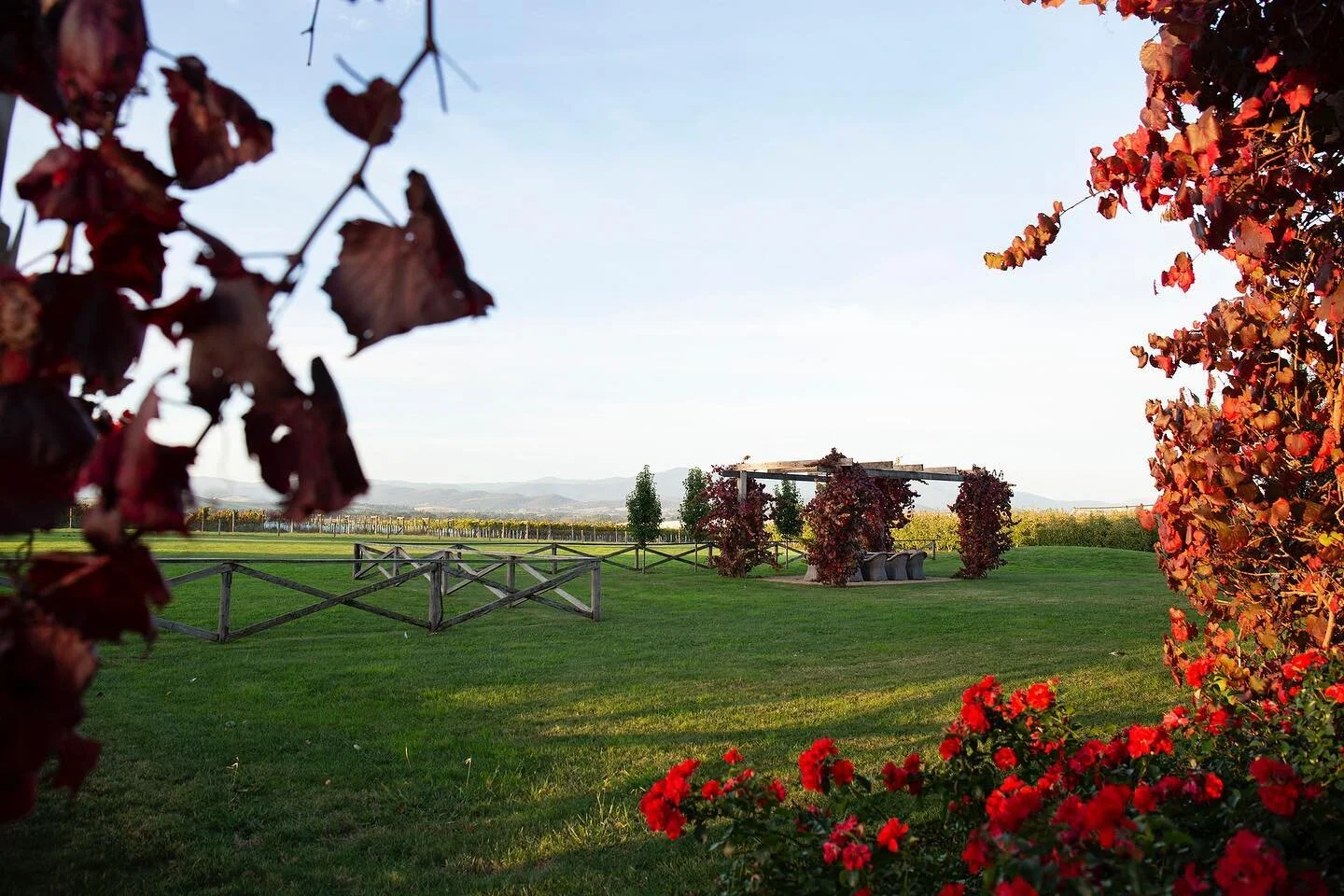 Meletos | Yarra Valley Café & Accommodation