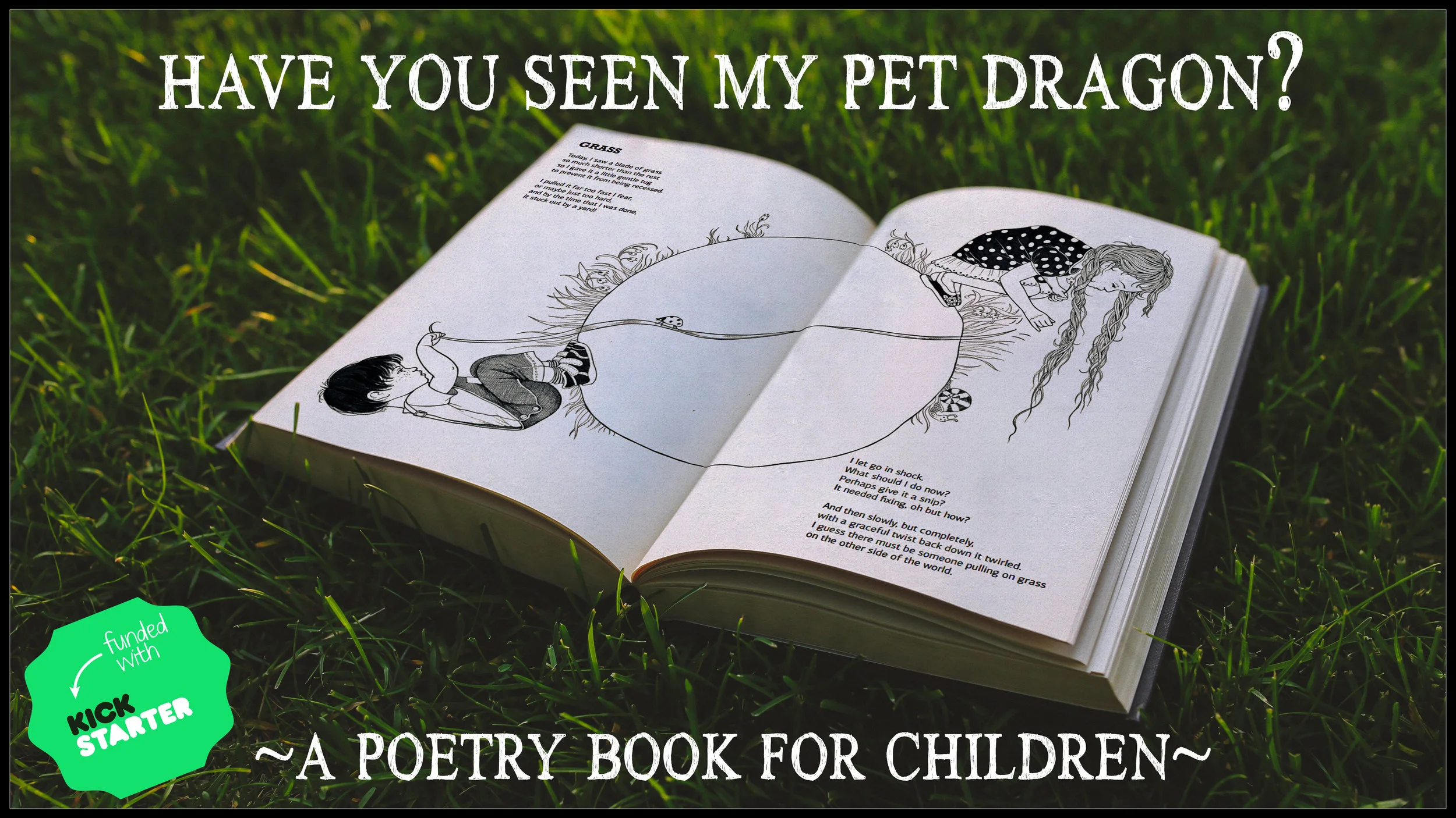 About The Book — Have You Seen My Pet Dragon?