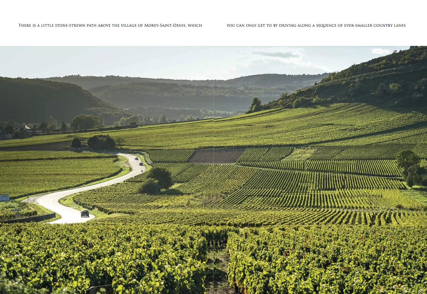 TIM CLINCH Photography | Published