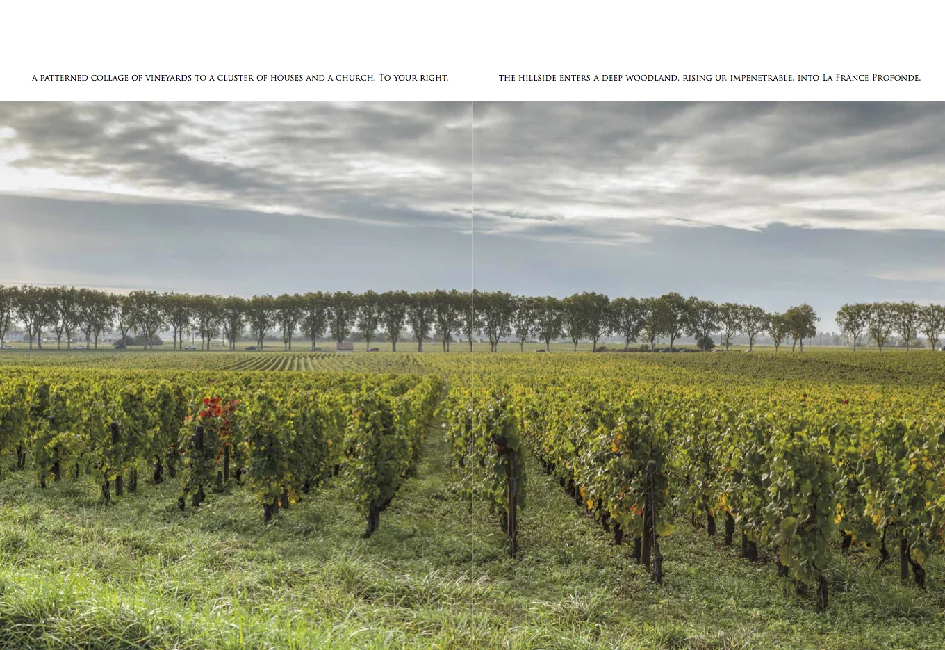TIM CLINCH Photography | Published