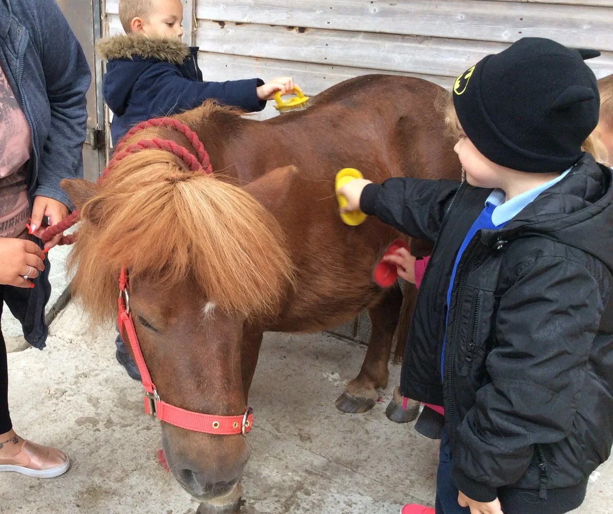 St Michael and All Angels Catholic Primary School