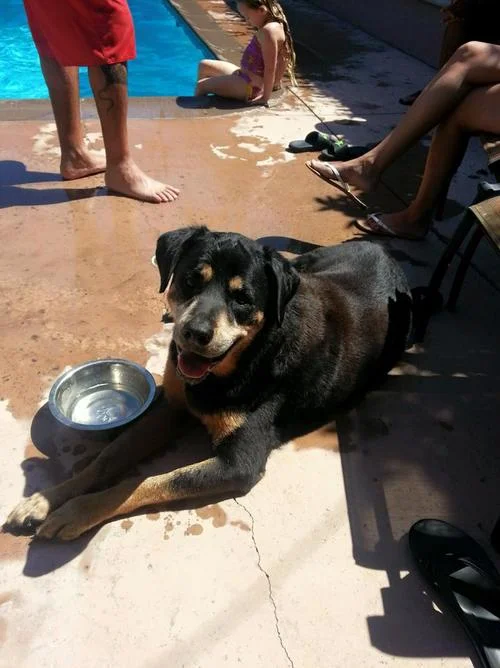 Frosted Faces 3 — Frosted Faces Foundation