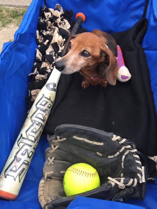 Frosted Faces 5 — Frosted Faces Foundation