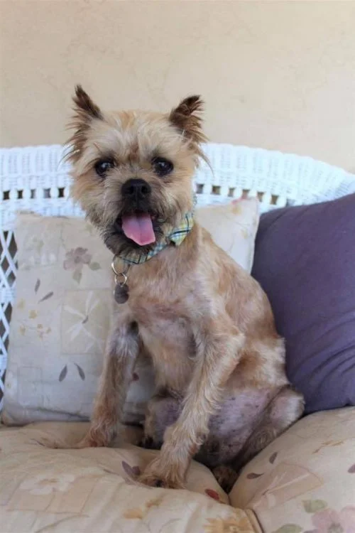 Frosted Faces 7 — Frosted Faces Foundation