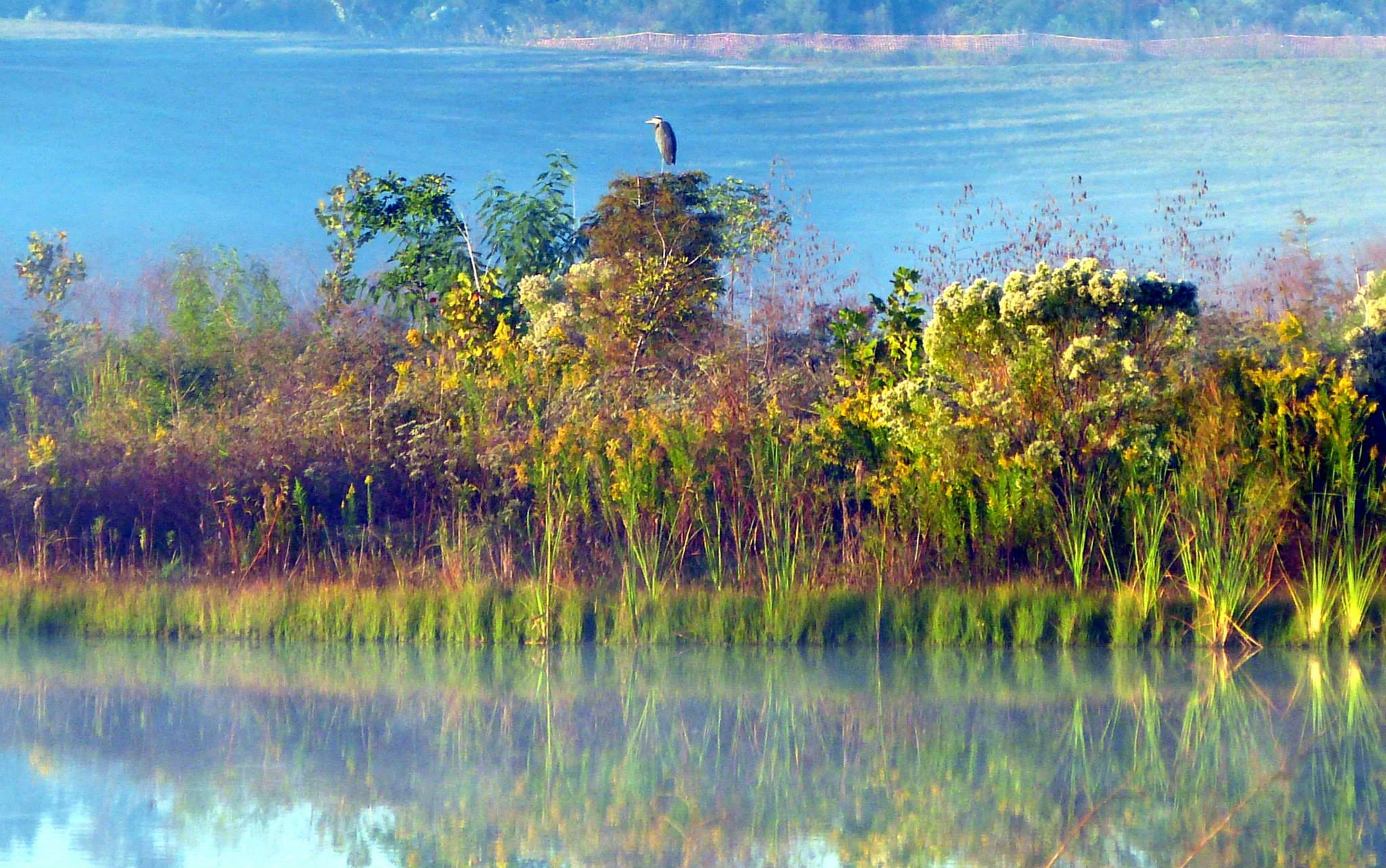 Willow Waterhole Greenspace Conservancy Receives $1.5 million Grant ...