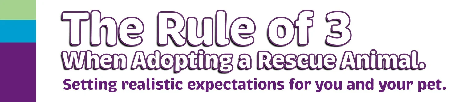 The Rule of Three