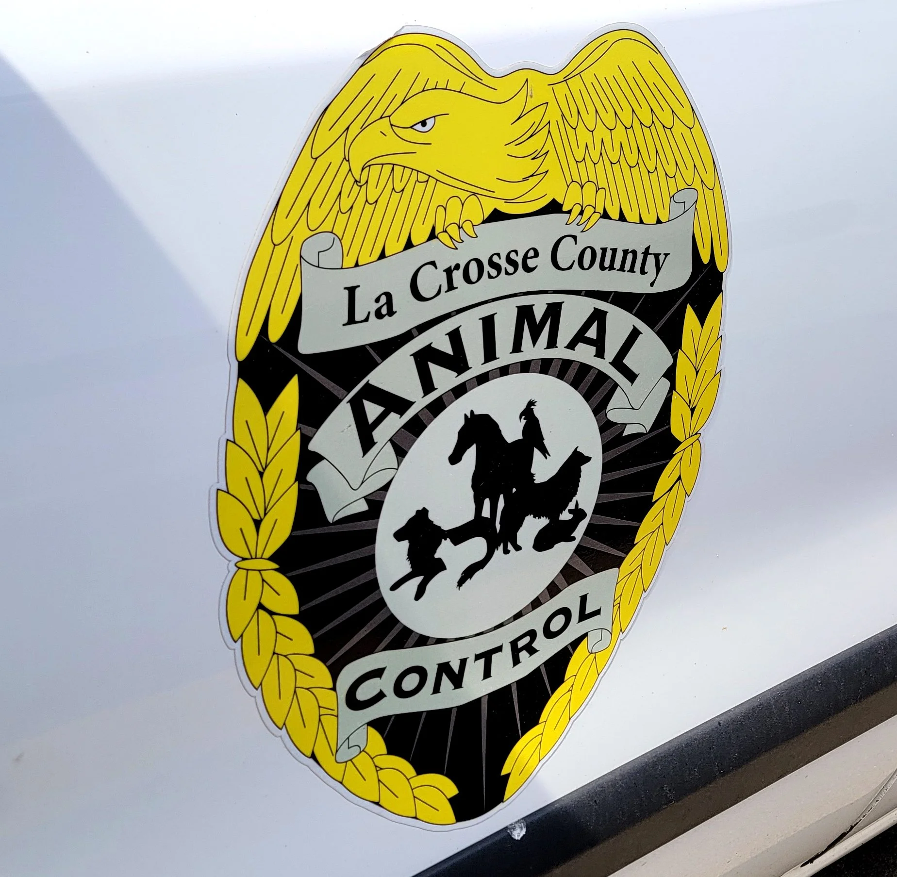 Animal Control, Protection & Rescue Department