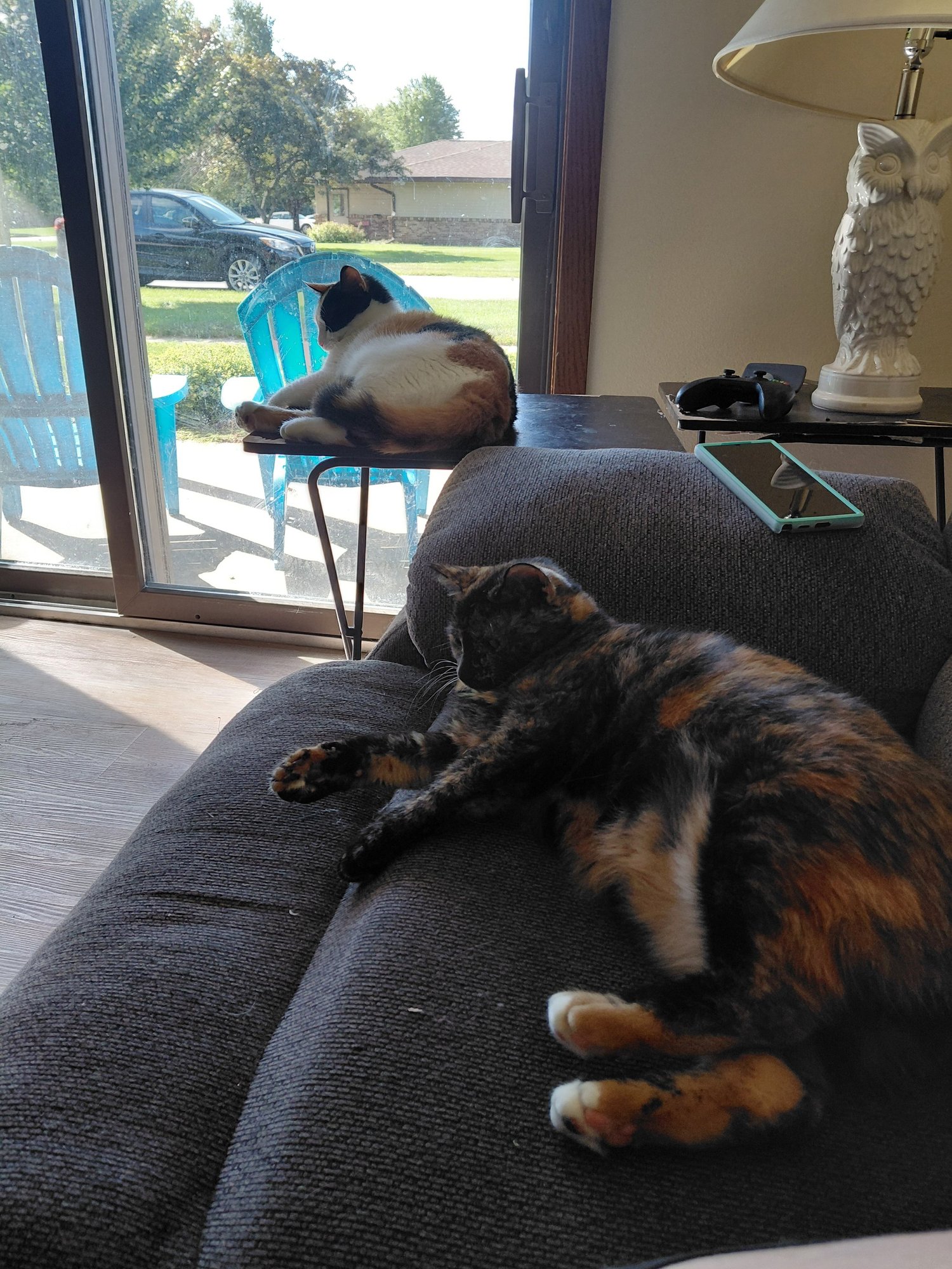 CRHP CAT Cally and Hazel