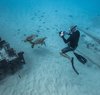 About John Baran | Animal & Wildlife Art Print Artist — John Baran ...