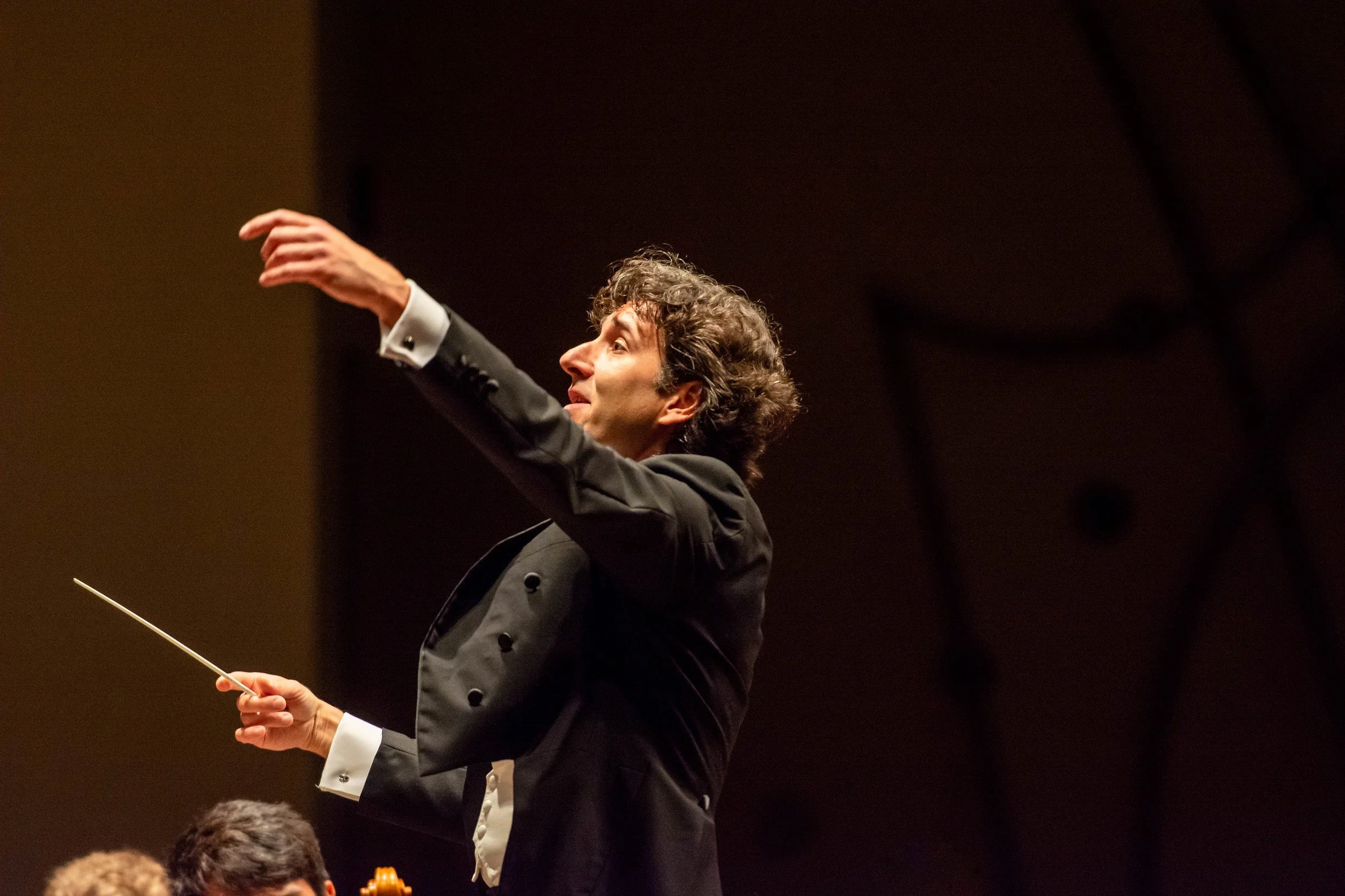 LEXINGTON CHAMBER ORCHESTRA — CHAMBER MUSIC FESTIVAL OF LEXINGTON