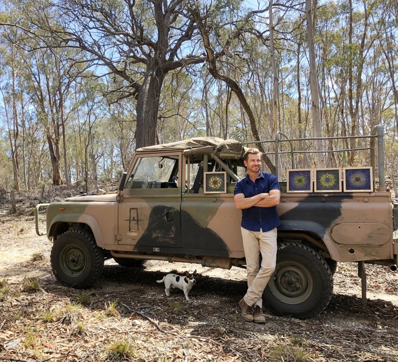 Jason McDonald — The Corner Store Gallery