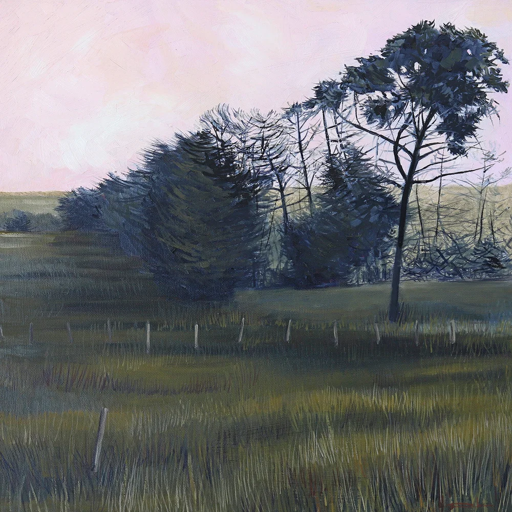 The Corner Store Gallery Australian Artists — The Corner Store Gallery