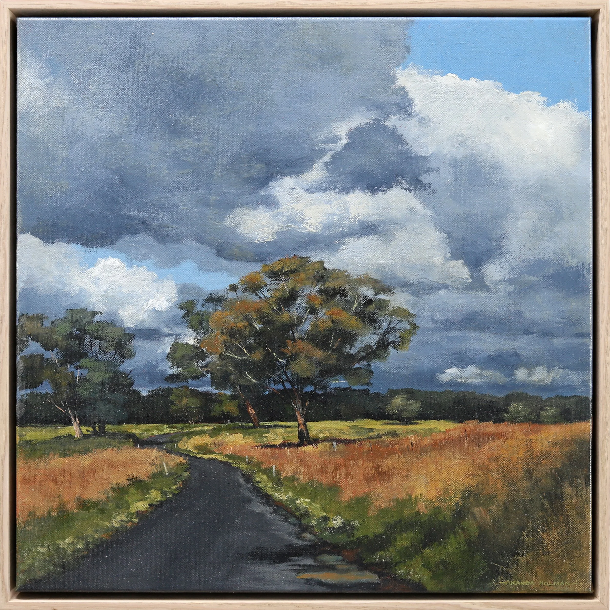 Amanda Holman — The Corner Store Gallery