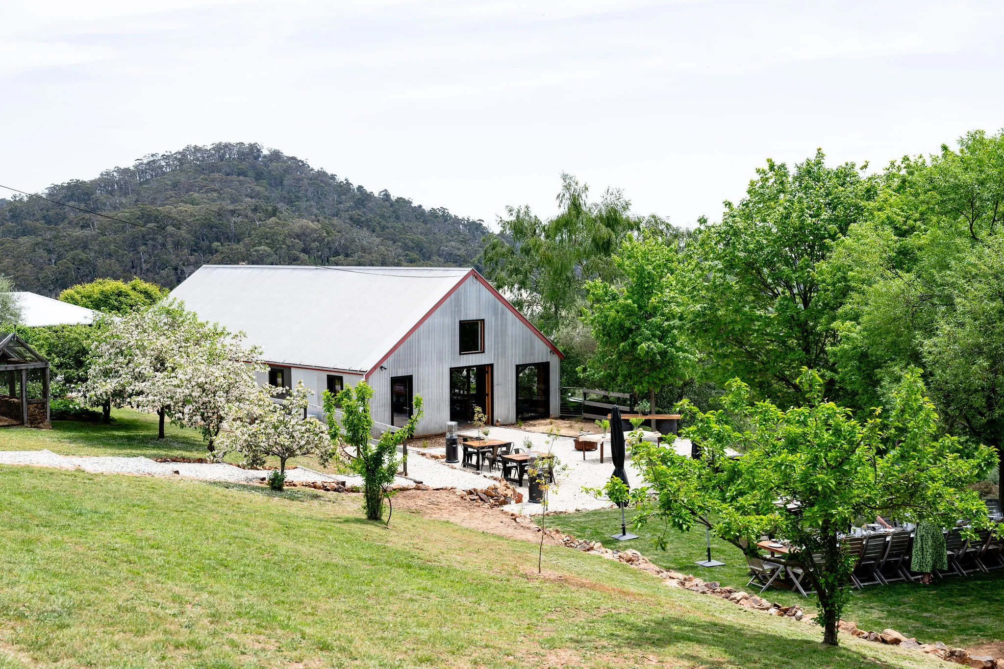 Guest Curator Derice McDonald from Macquariedale Wines