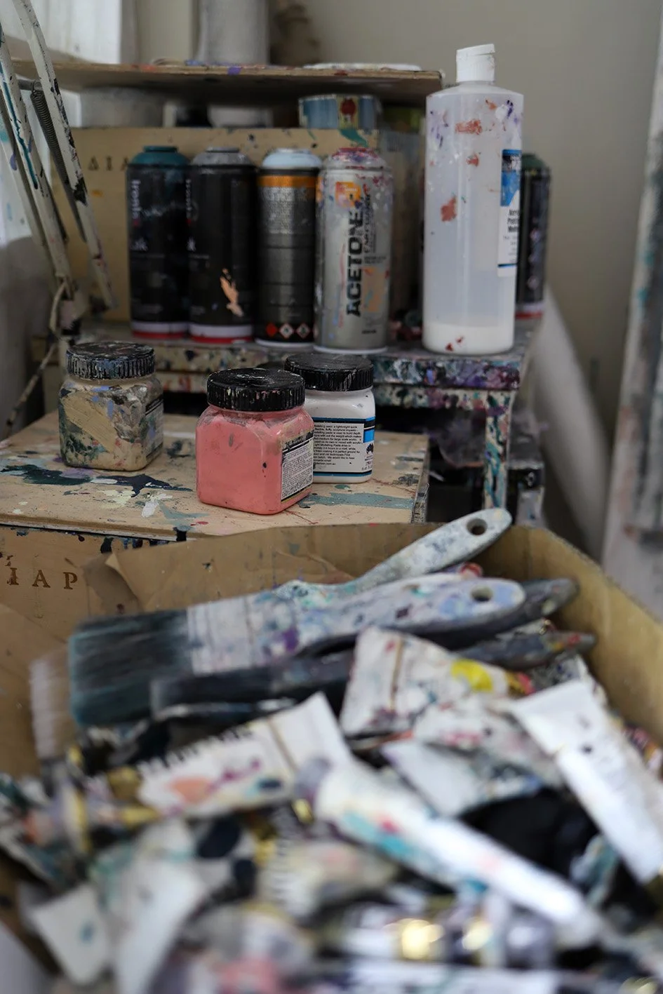 Studio Visit with Fleur Stevenson