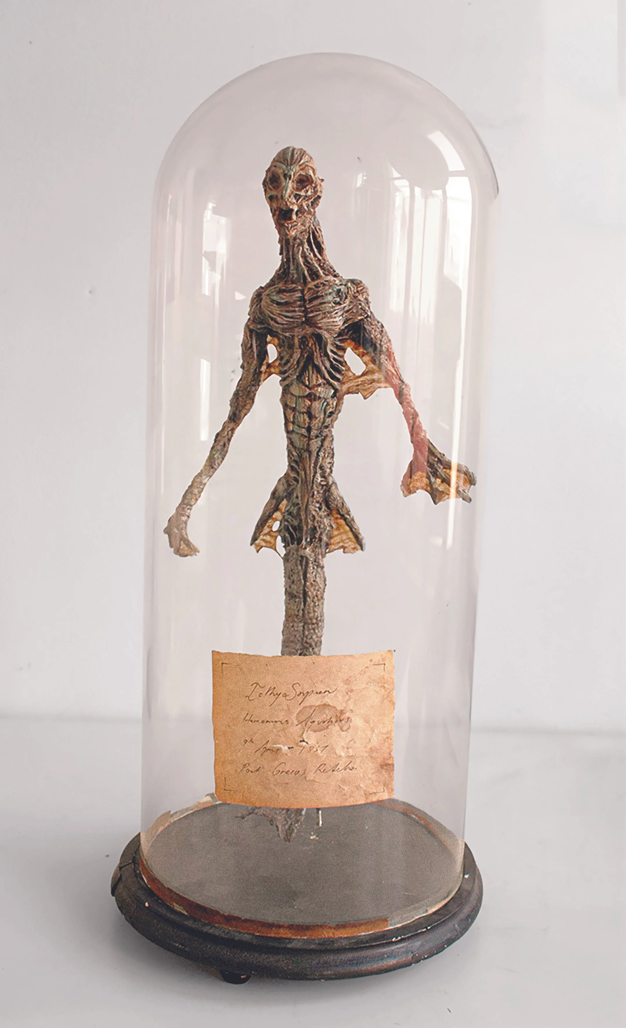 Icthyosapien — Merrylin Cryptid Museum