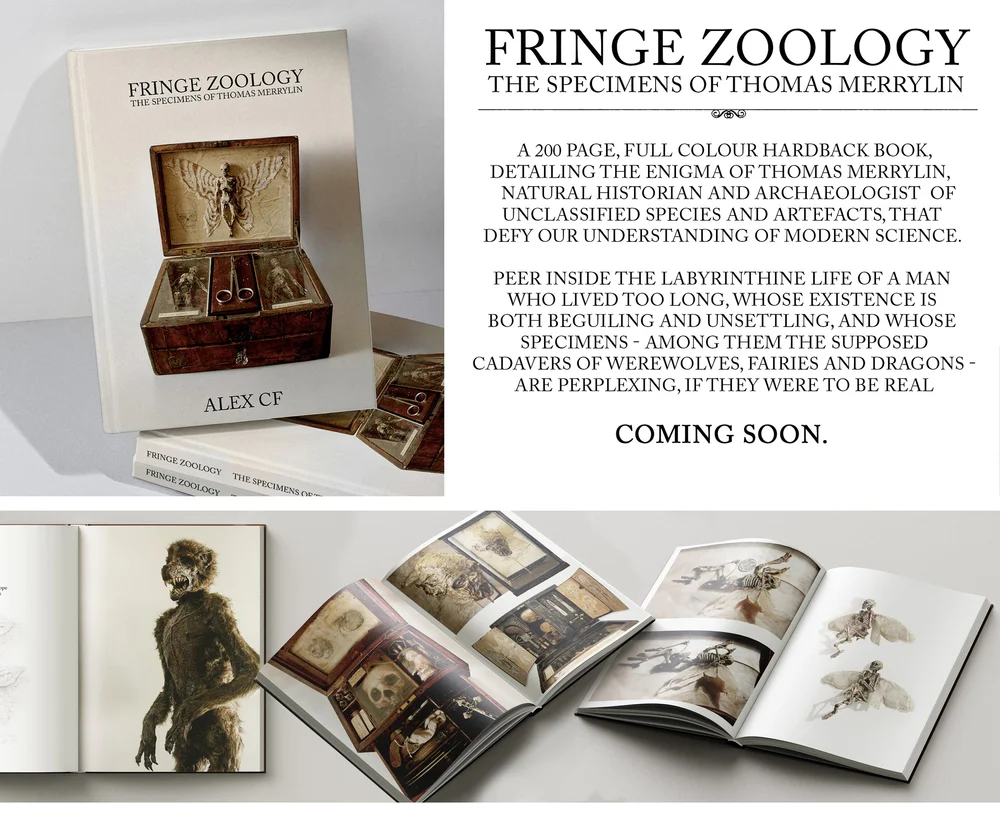 Merrylin Cryptid Museum