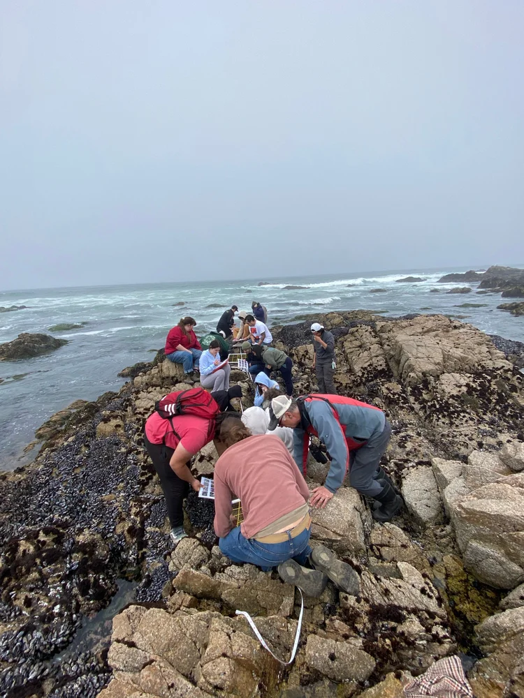 Pacific Grove Museum of Natural History