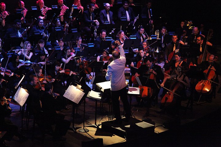 Meet Fox — Steven Allen Fox