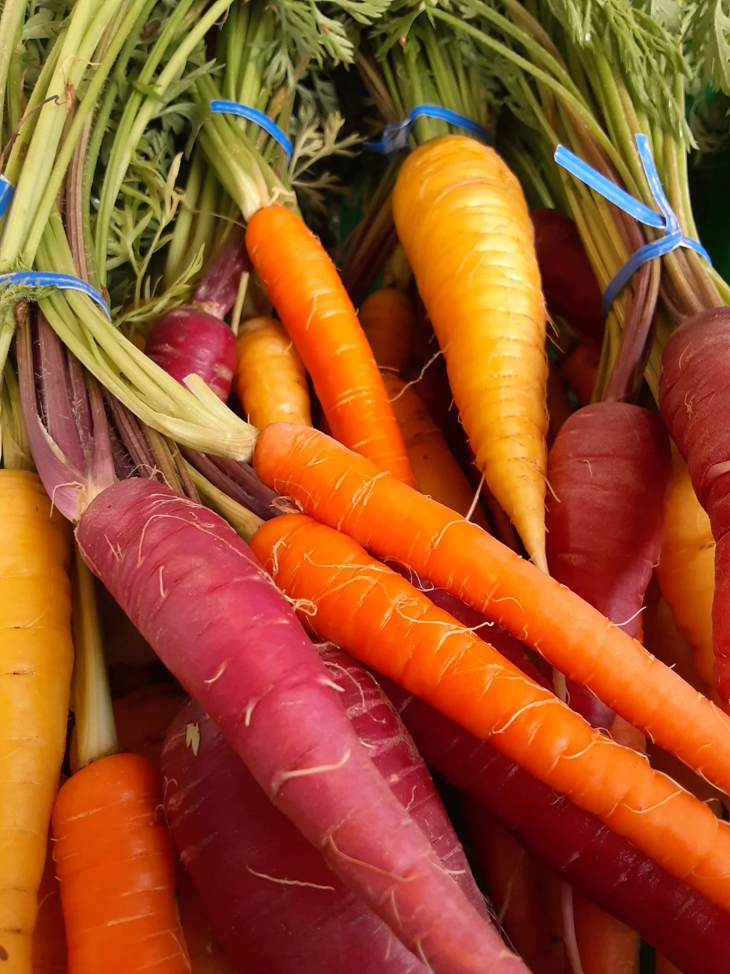 Art on the Farm — Elsewhere Studios