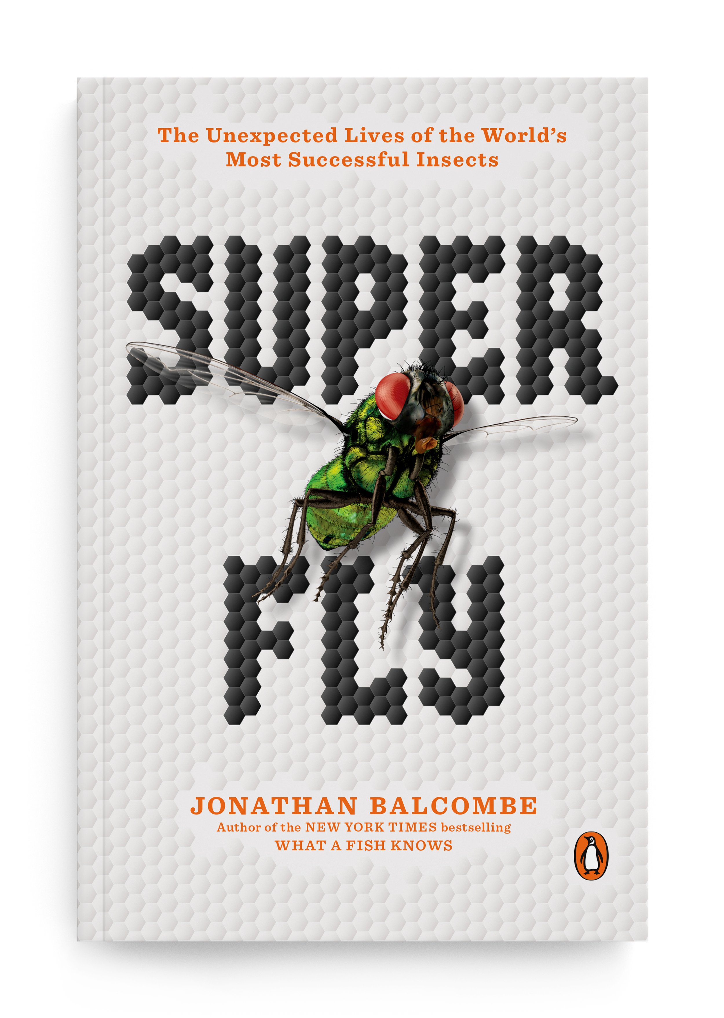 alex camlin / design