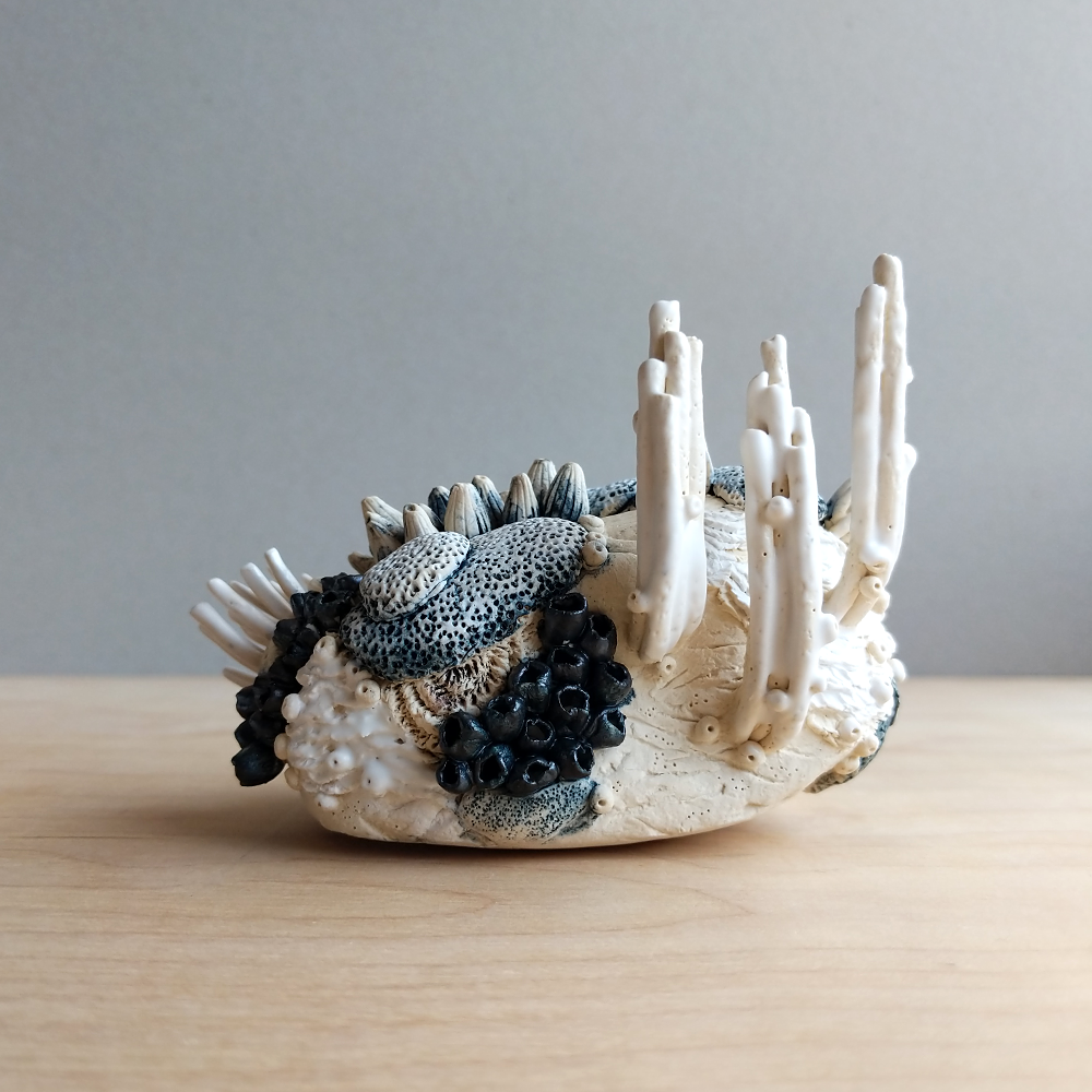 Ceramic Artists Inspired By Nature