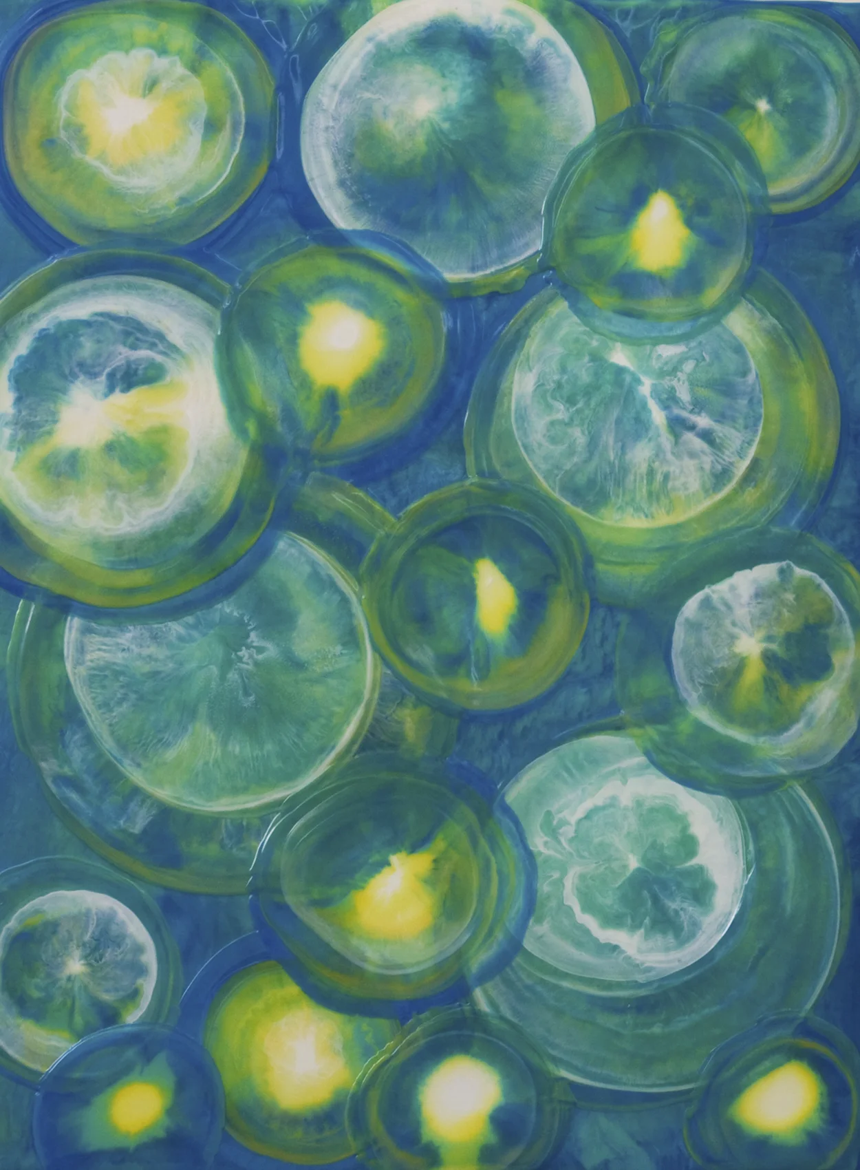 Burst Series Sold