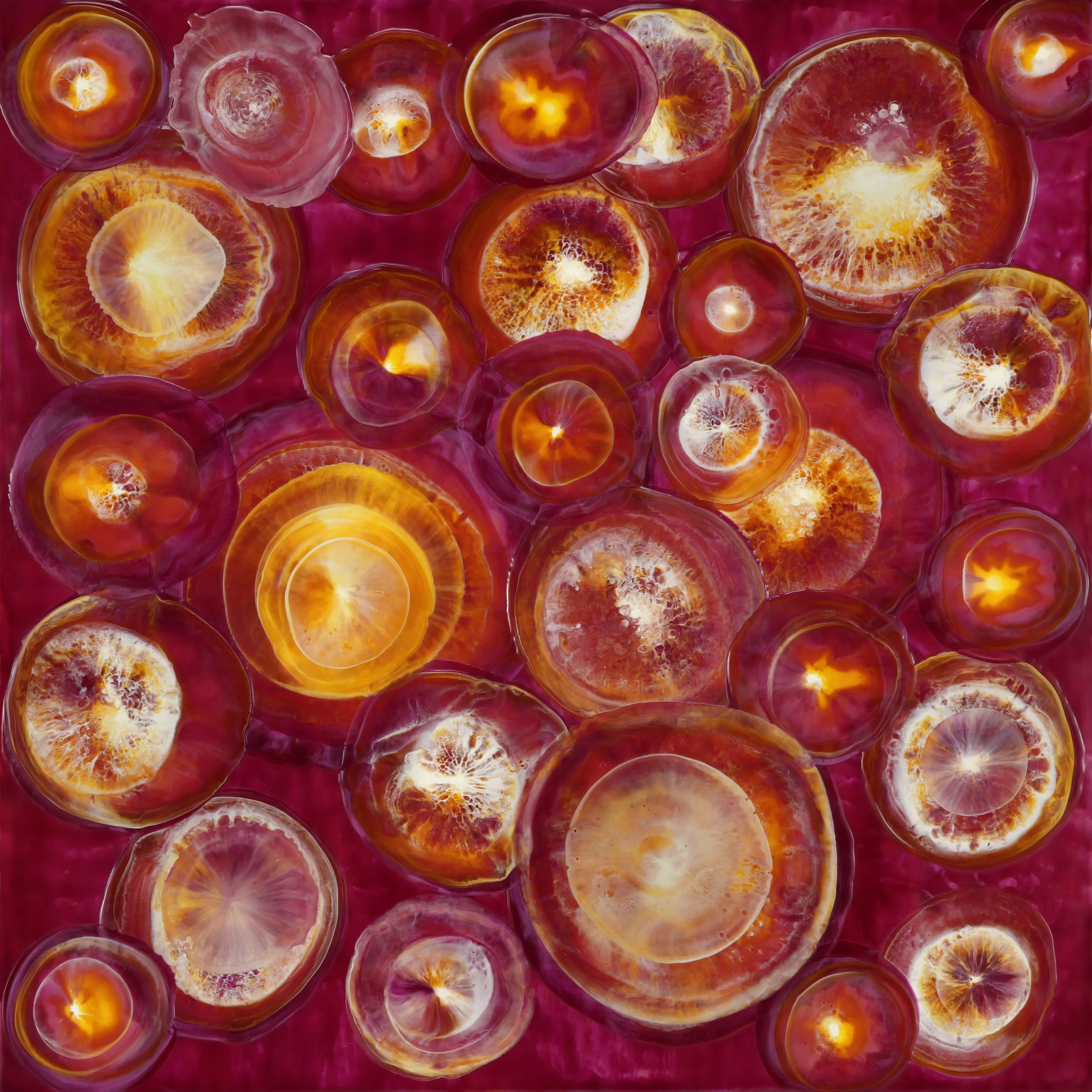 Burst Series Sold