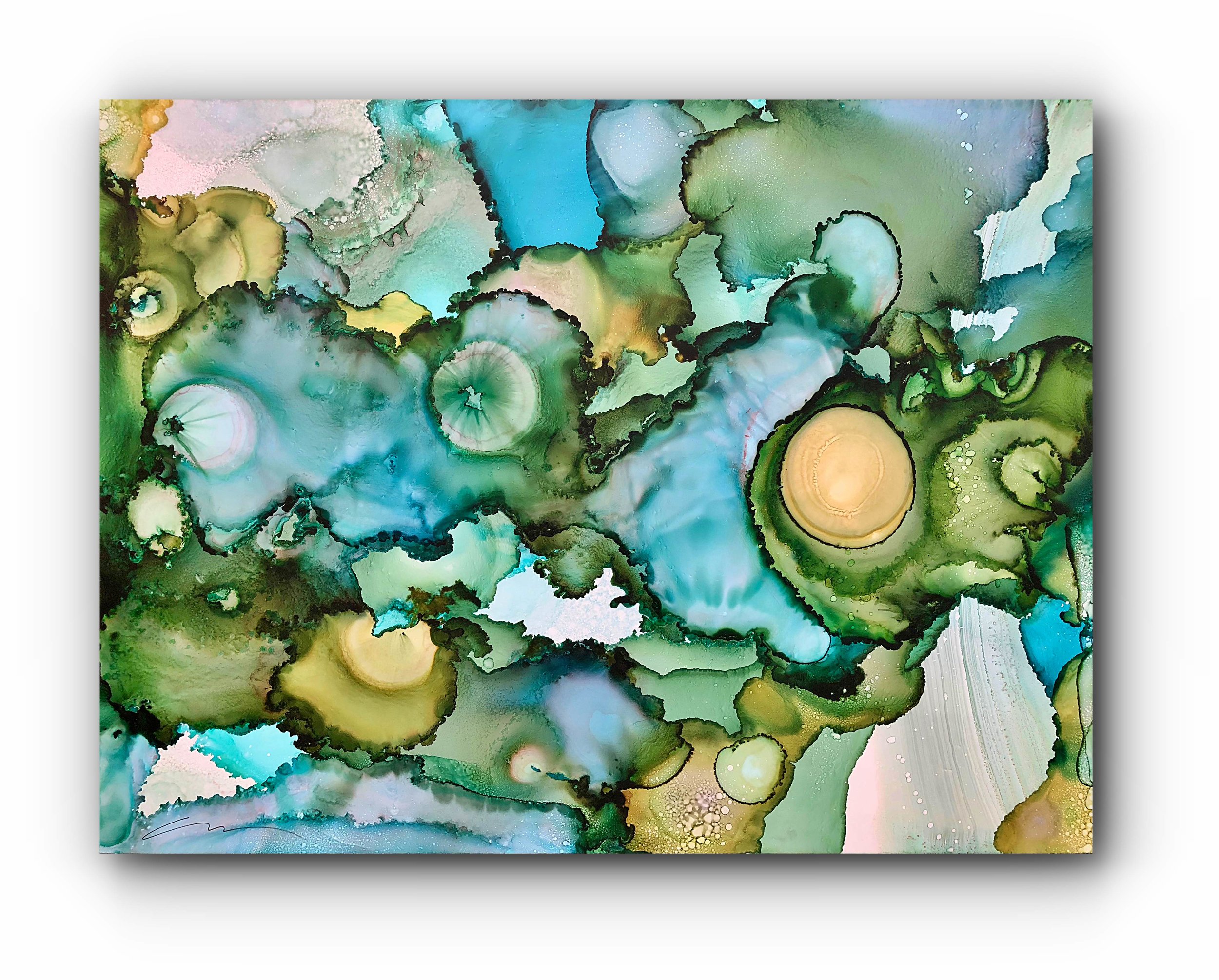 Constance Williams Studio