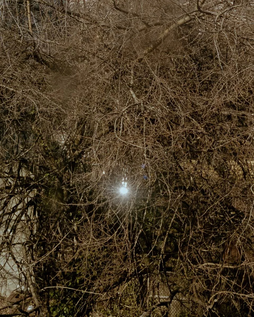 Heavenly Bodies — Cole Witter