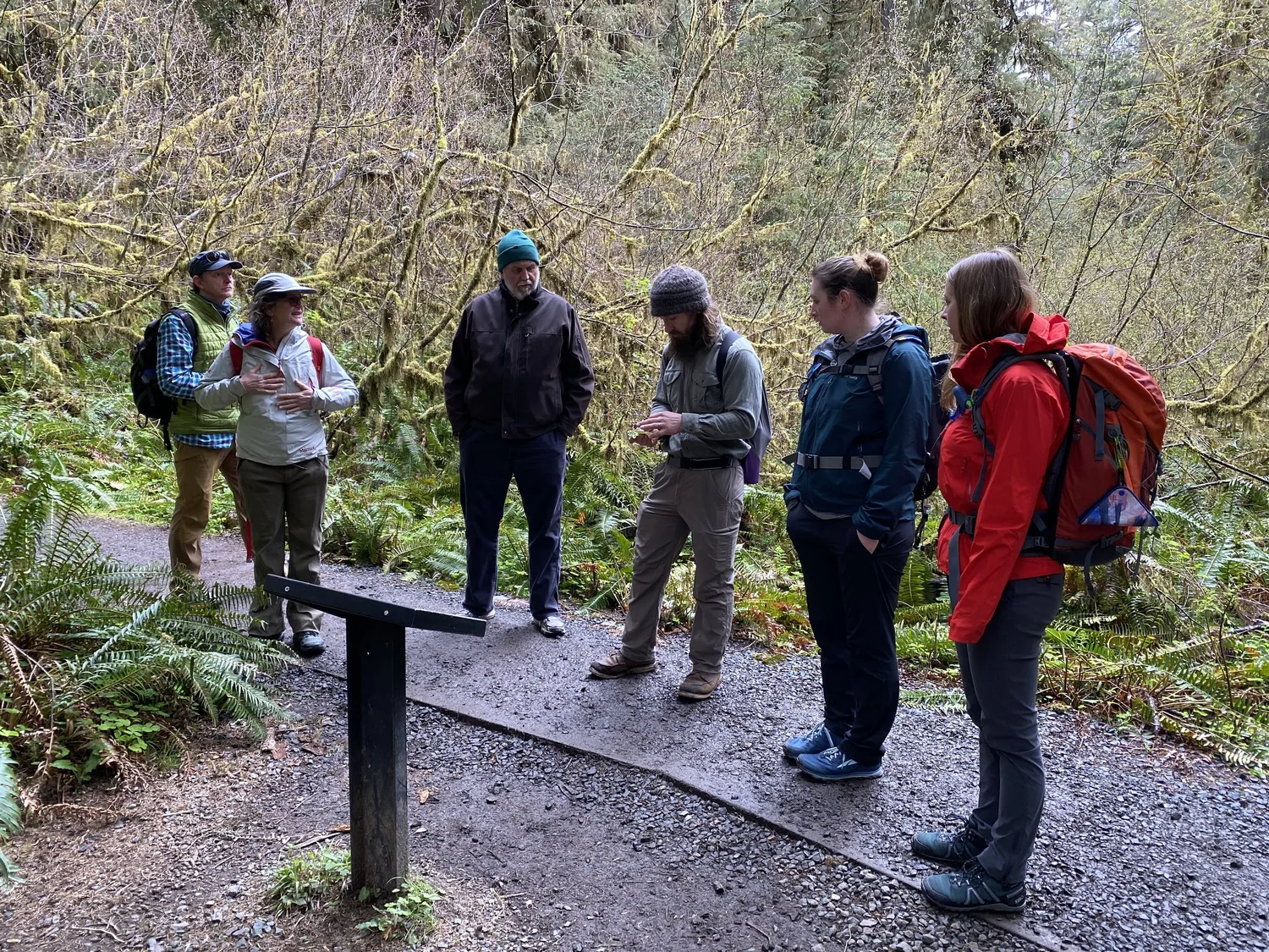 Olympic Hiking Co. | Guided Hiking Tours and Trailhead Shuttles in ...