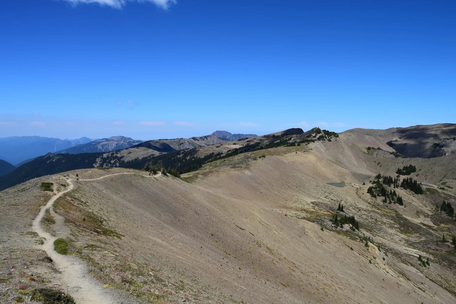 Obstruction Point | Olympic Hiking Co.