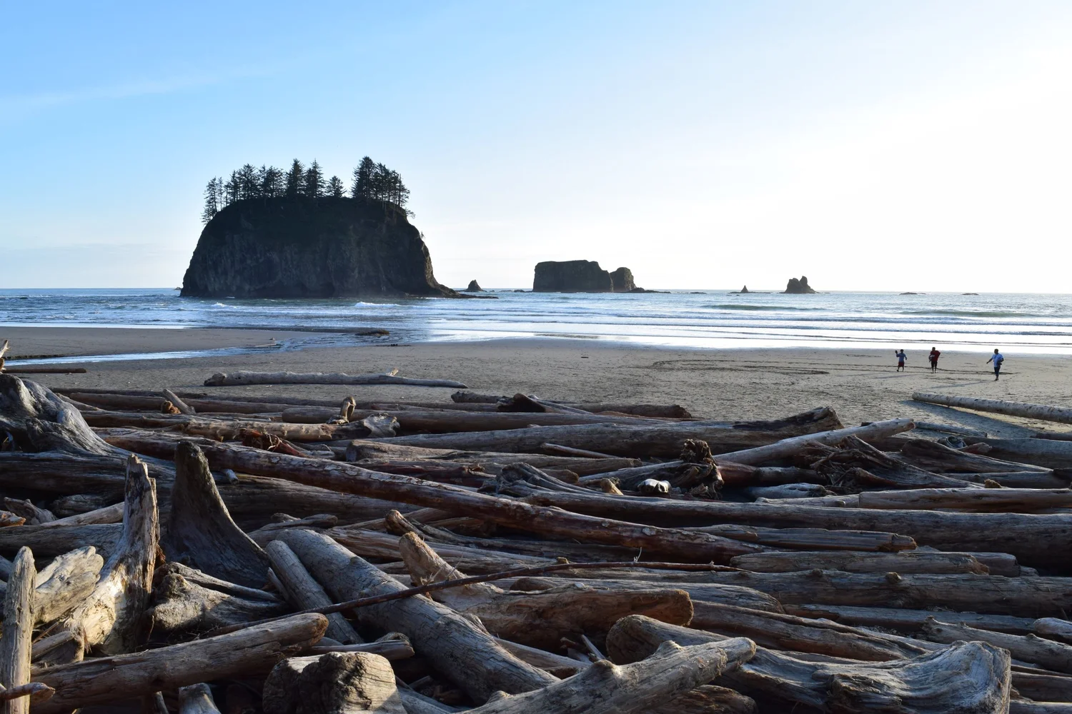 Second Beach | Olympic Hiking Co.