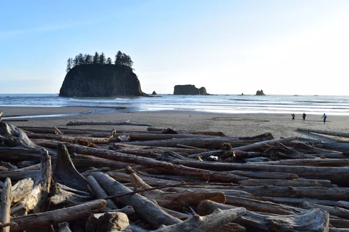 Second Beach | Olympic Hiking Co.