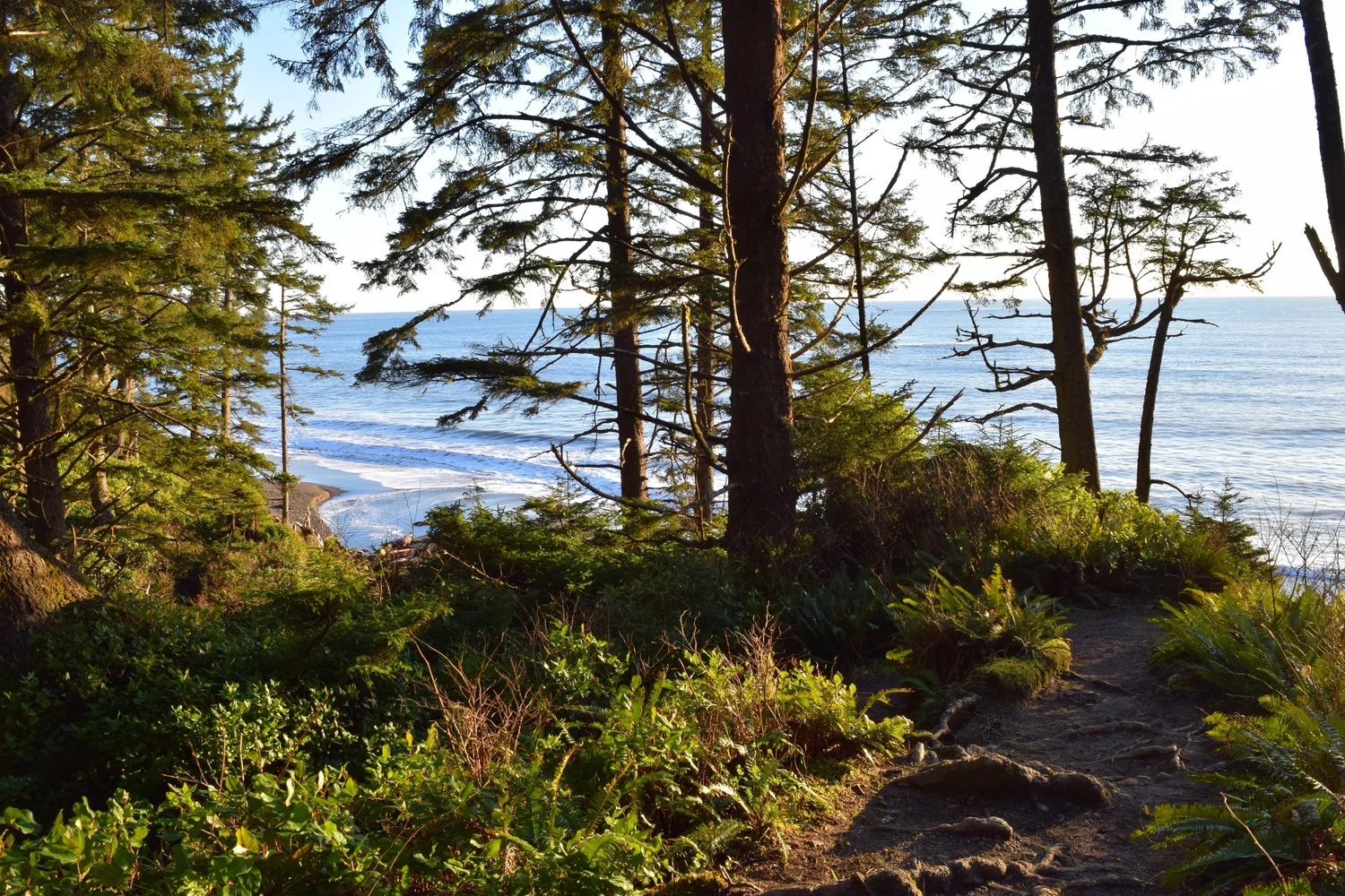 Third Beach | Olympic Hiking Co.